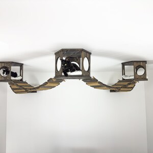 Cat Ceiling 3 Hexagon Shelves, Cat Floating Bridge for Wall, Ceiling ...