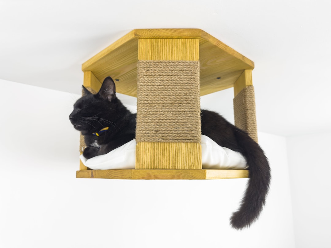 Cat Ceiling Furniture, Wooden Cat Bed, Cat Ceiling Bed, Wood Cat ...