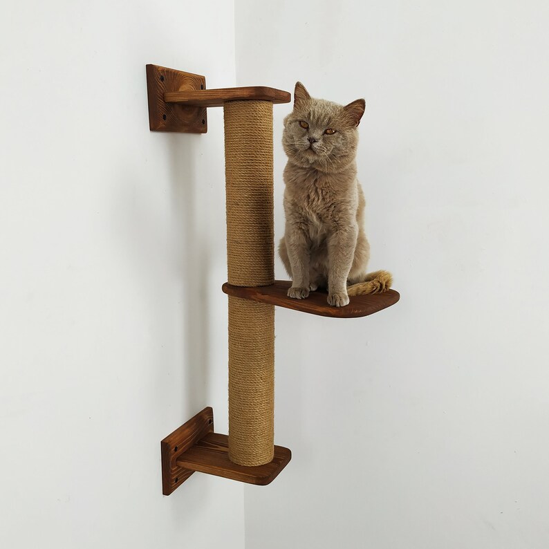 Scratcher Cat 2 Sections Cat Wall Furniture Cat Shelves Сat - Etsy