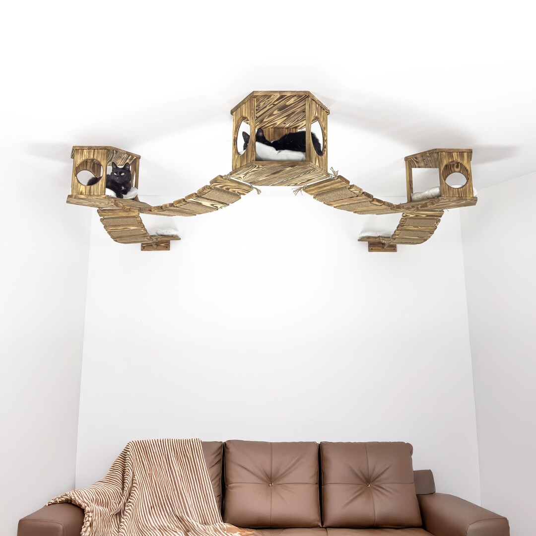 Cat Ceiling Furniture 3 Hexagon Shelves, Cat Floating Bridge for Wall ...