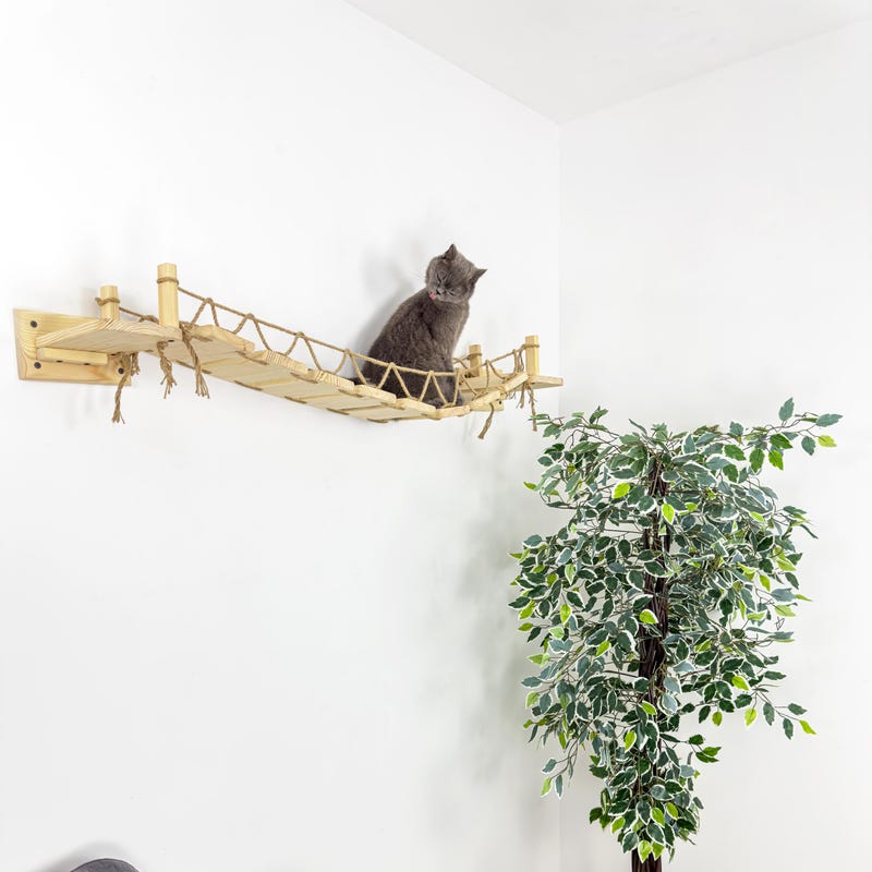 Cat Bridge - Etsy