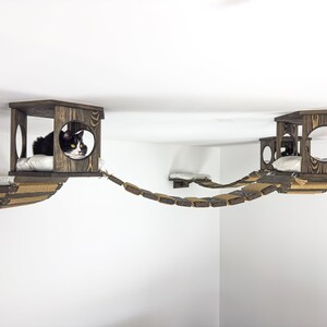 Cat Ceiling 3 Hexagon Shelves, Cat Floating Bridge for Wall, Ceiling ...
