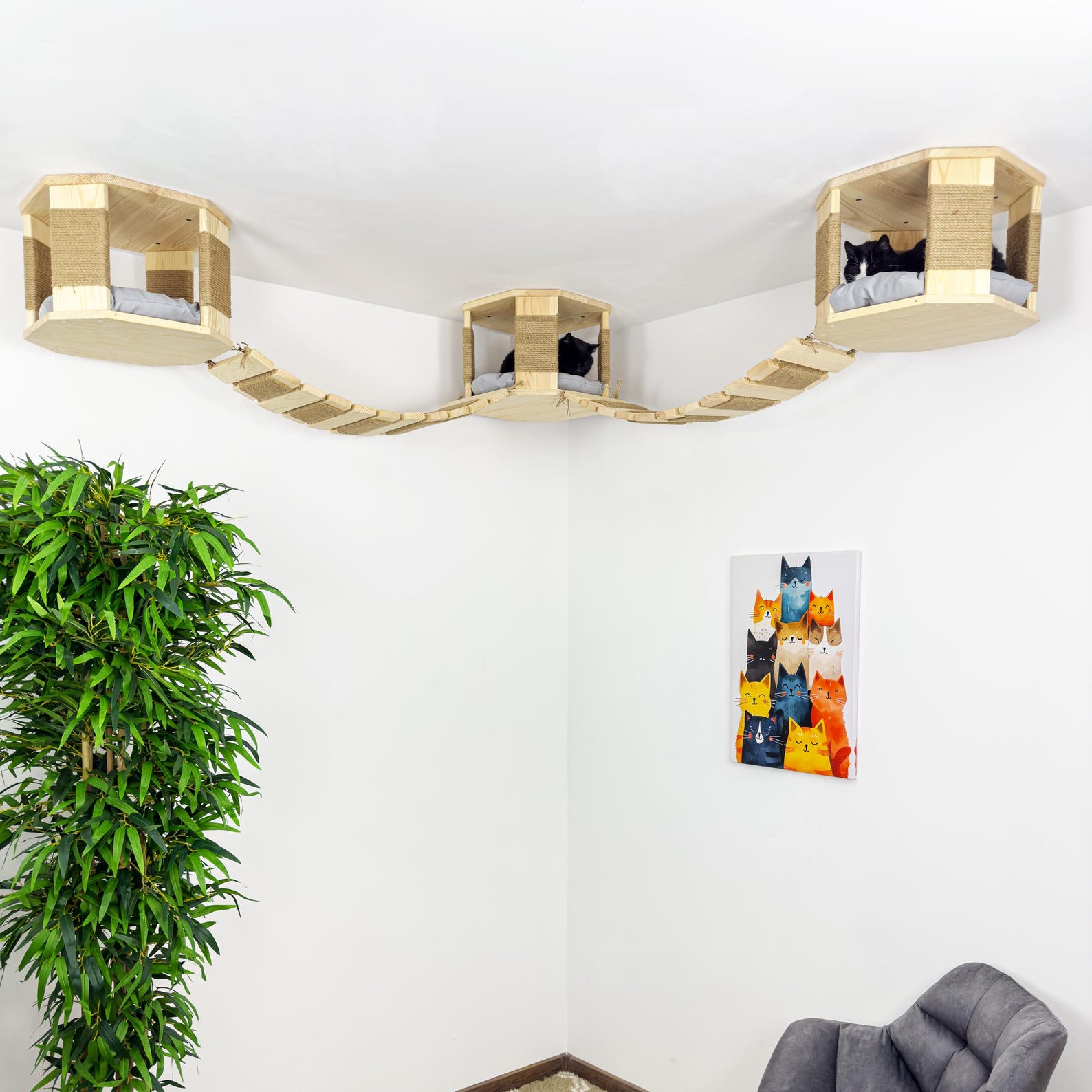Ceiling Cat Furniture With 3 Octagon Beds Kitten Ceiling Playground ...