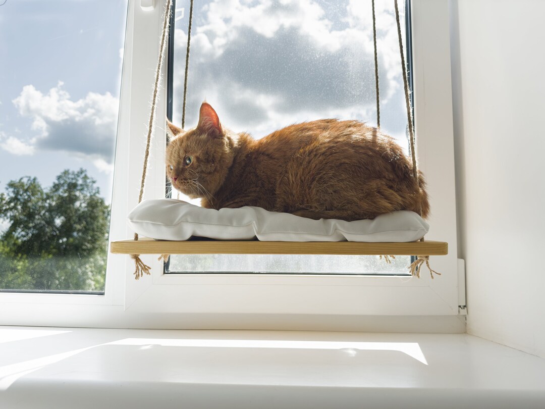 Cat Window Bed, Wood Cat Furniture, Perfect Cat Bed for Window, Best ...