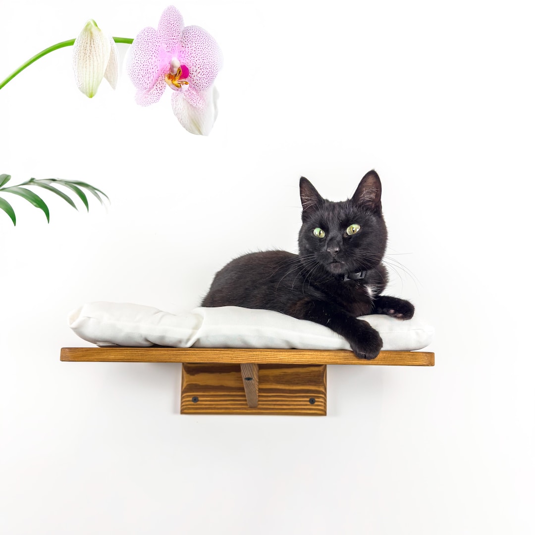 Cat Shelves Wooden Cat Cot Wall Mounted Kitten Bed Modern Wall ...