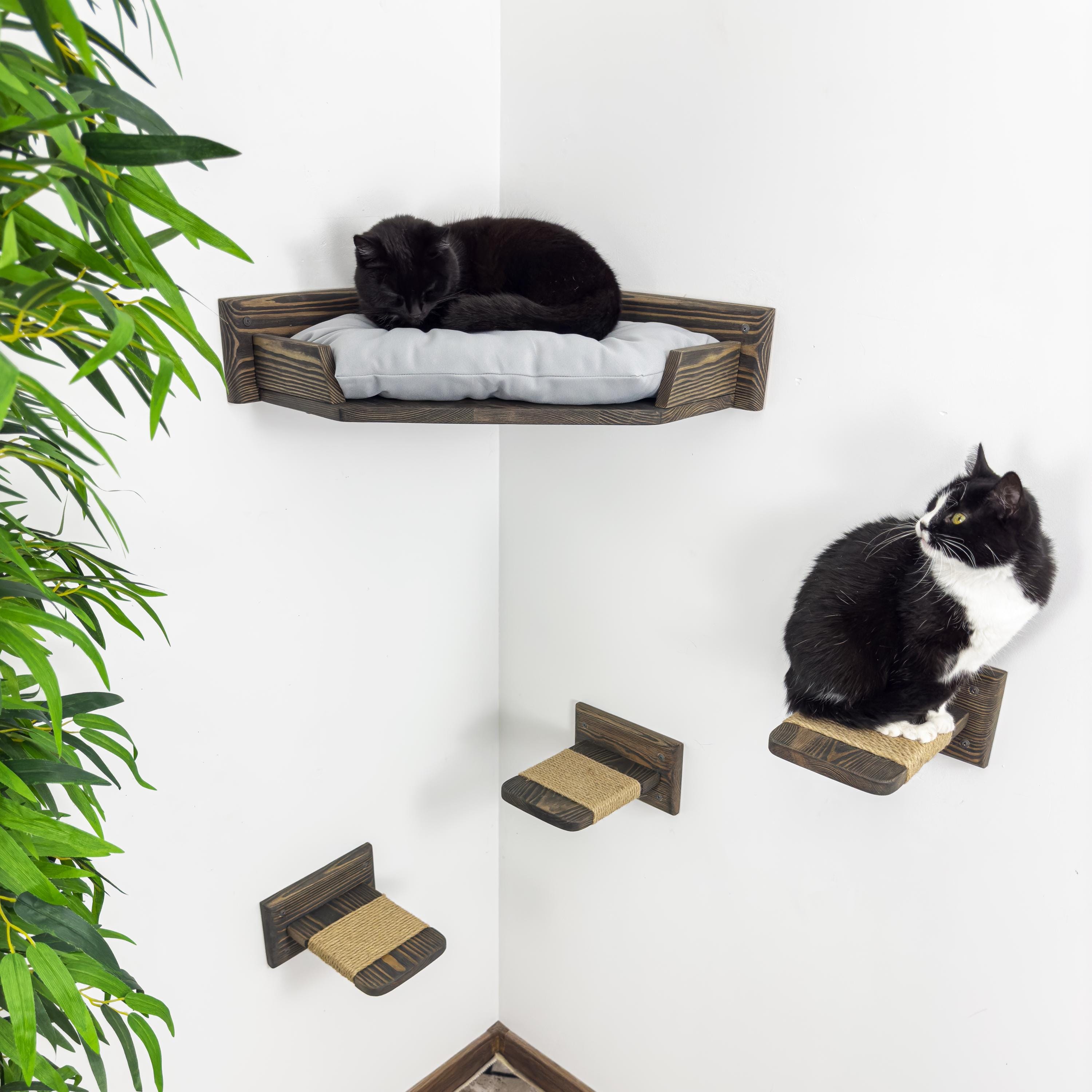 Cat Wall Furniture Wooden Climbing Wall Set With 3 Steps With Rope and ...