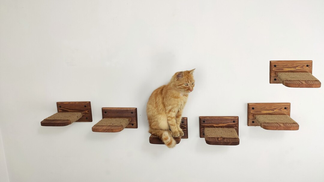 Set Cat 6 Steps With Rope, Cat Furniture, Cat Shelves, Cat Shelf, Cat ...