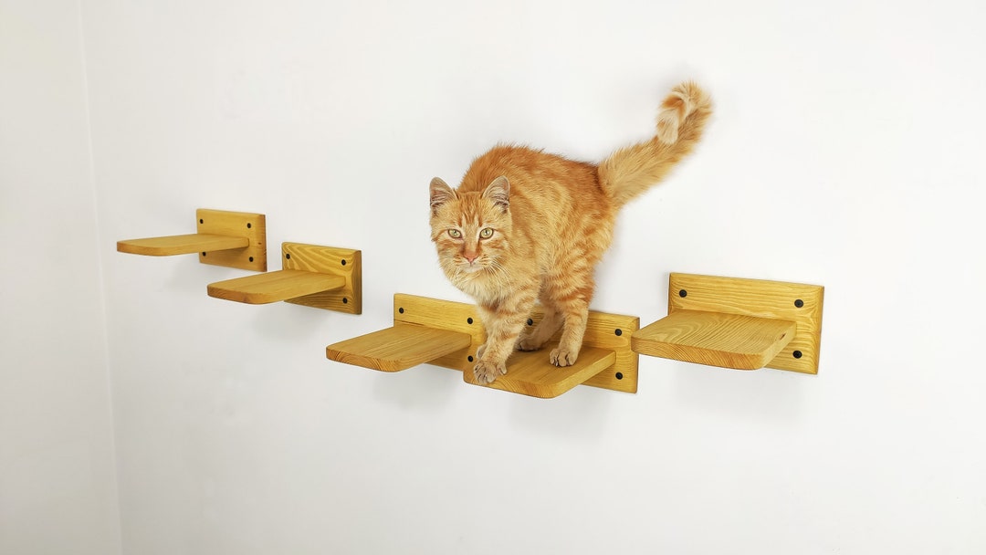 Set 5 Cat Steps, Wall Mounted Cat Steps, Cat Furniture, Cat Shelves ...