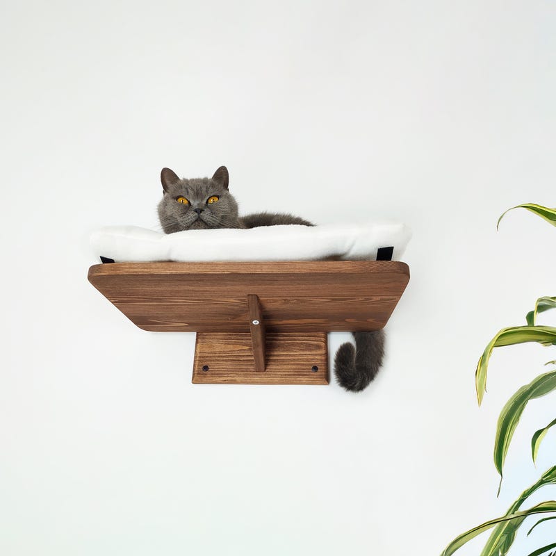 Wall Mounted Cat Shelves - Etsy