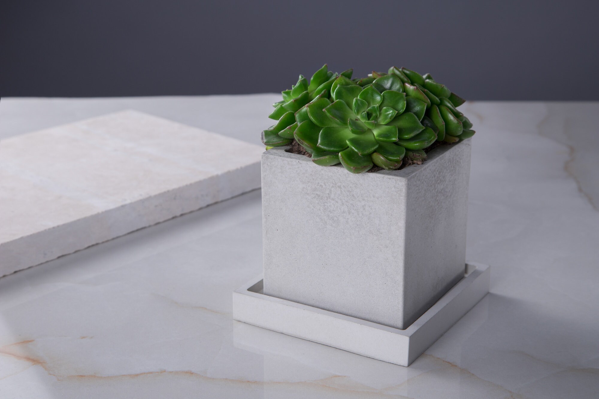 Cube Concrete Succulent Planter for Indoor Use Concrete - Etsy