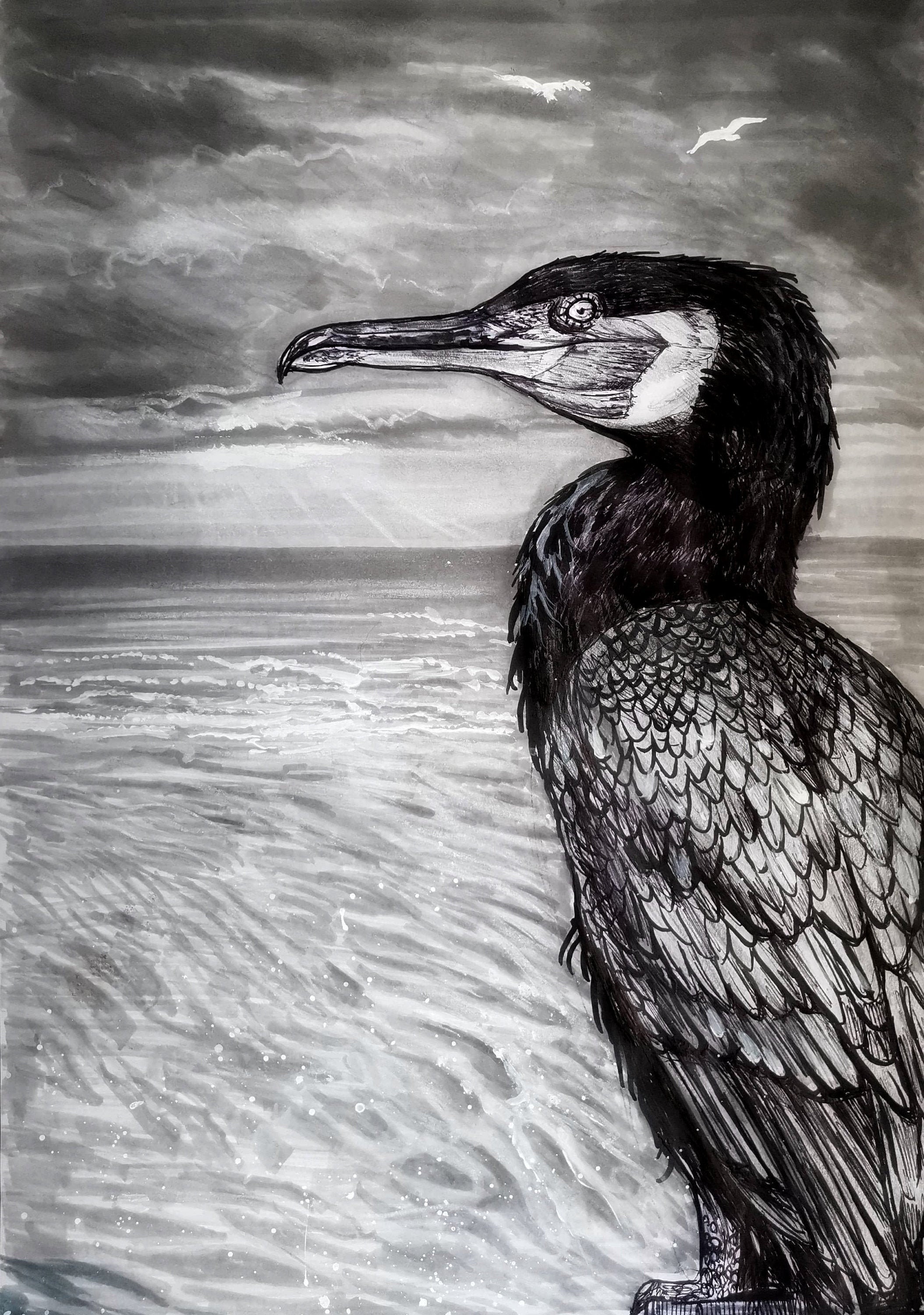 Cormorant Artwork TÉLÉCHARGEMENT NUMÉRIQUE - Etsy France