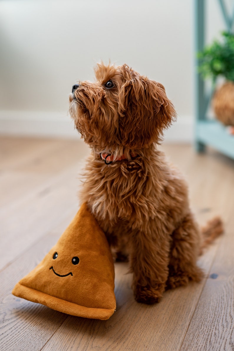Samosa Plush Chew Toy for Pets - Etsy