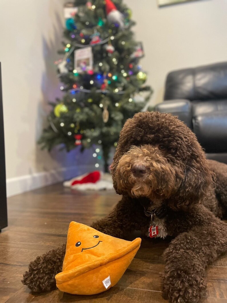 Samosa Plush Chew Toy for Pets - Etsy