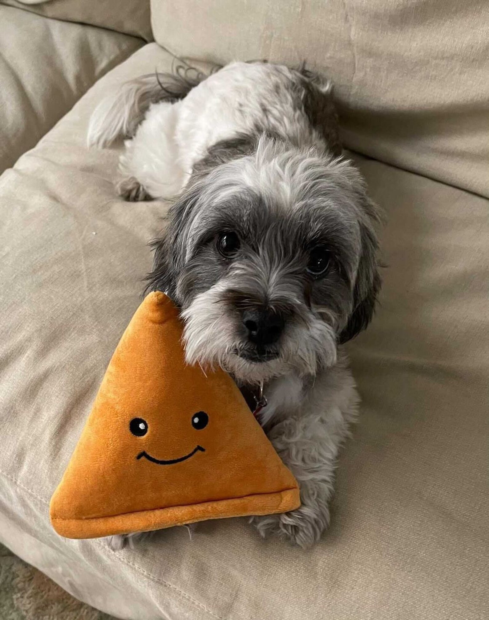Samosa Plush Chew Toy for Pets - Etsy