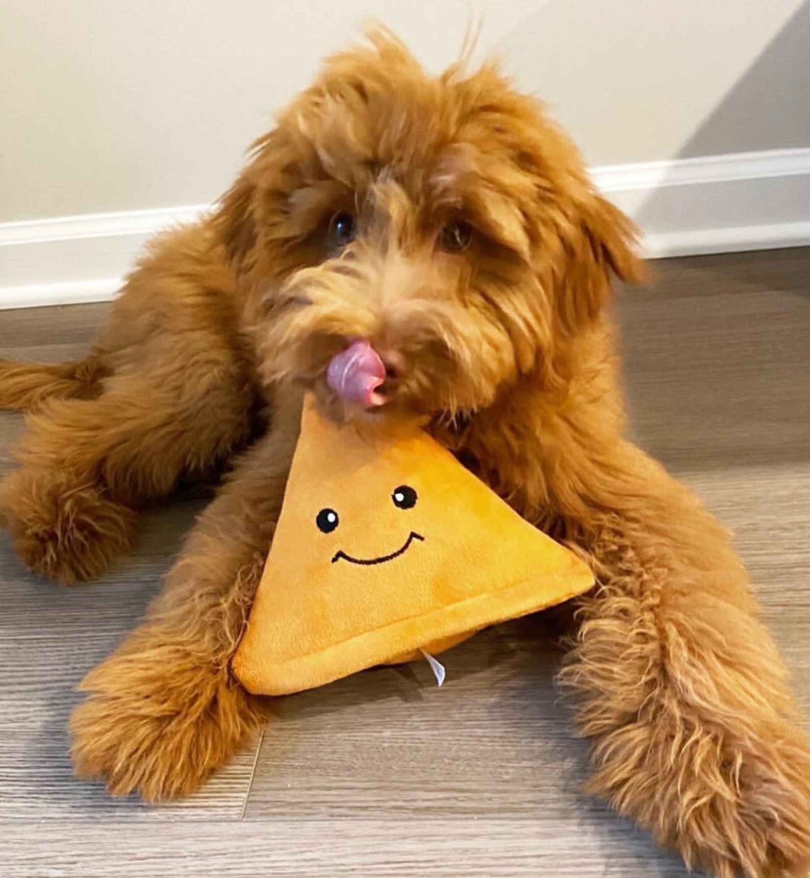 Samosa Plush Chew Toy for Pets - Etsy