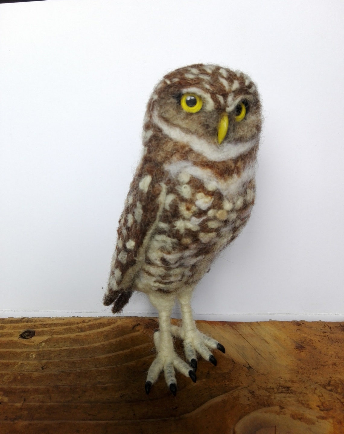 Needle felted burrowing owl owl decor needle felted | Etsy