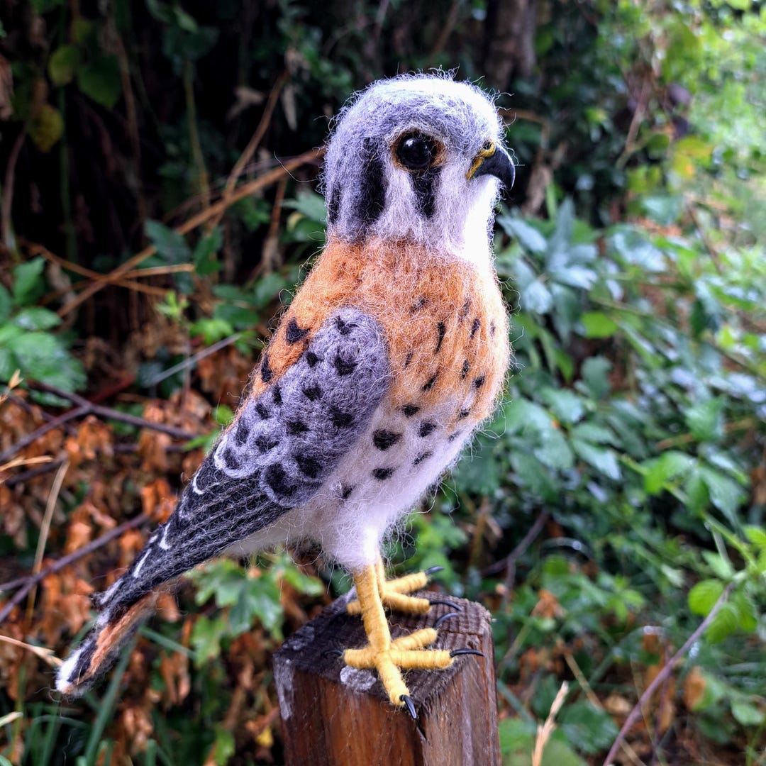 Needle Felted, Needle Felting, Needle Felted Birds, American Kestrel ...