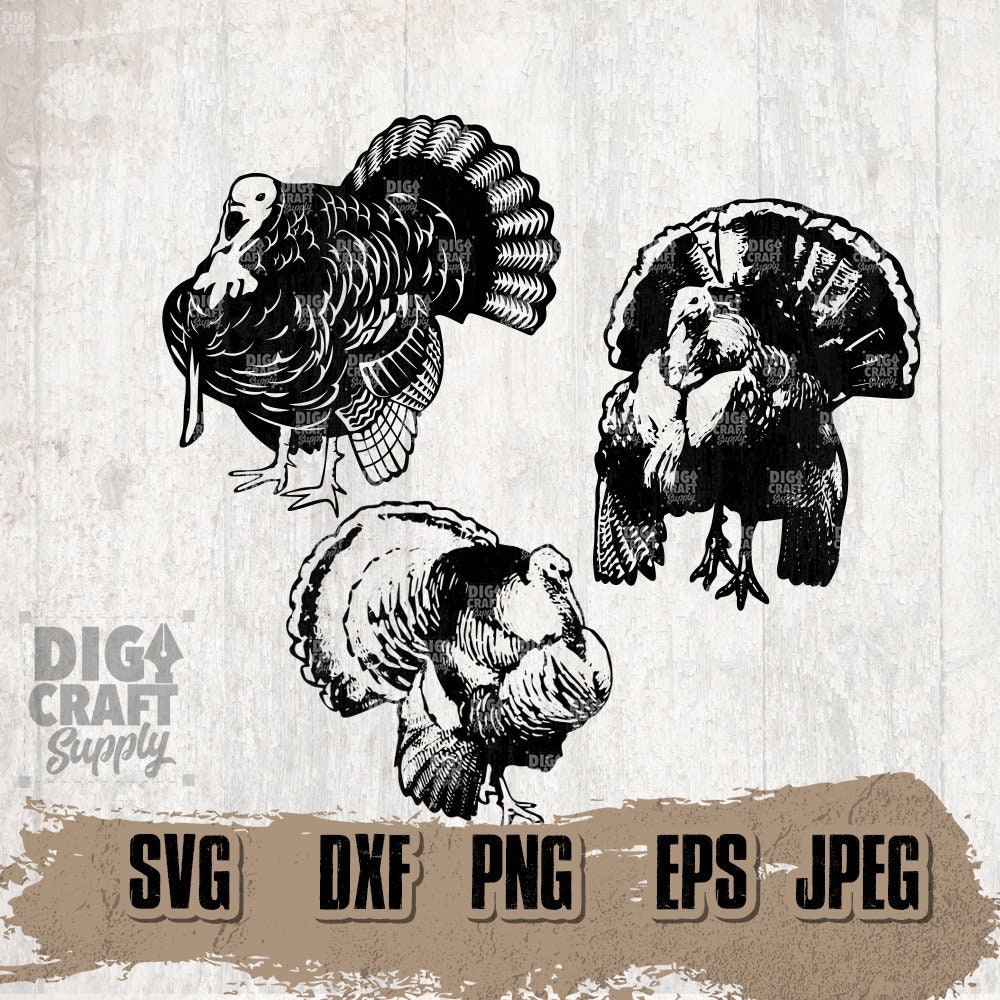 3 pavo svg paquete svg pavo png imágenes prediseñadas de - Etsy México