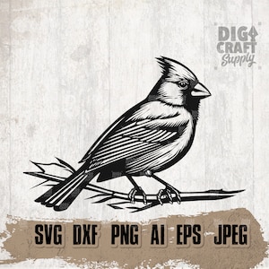 Cardinal Bird Svg, Flying Animal Clipart, Cute Birds Cutfile, Zookeeper ...