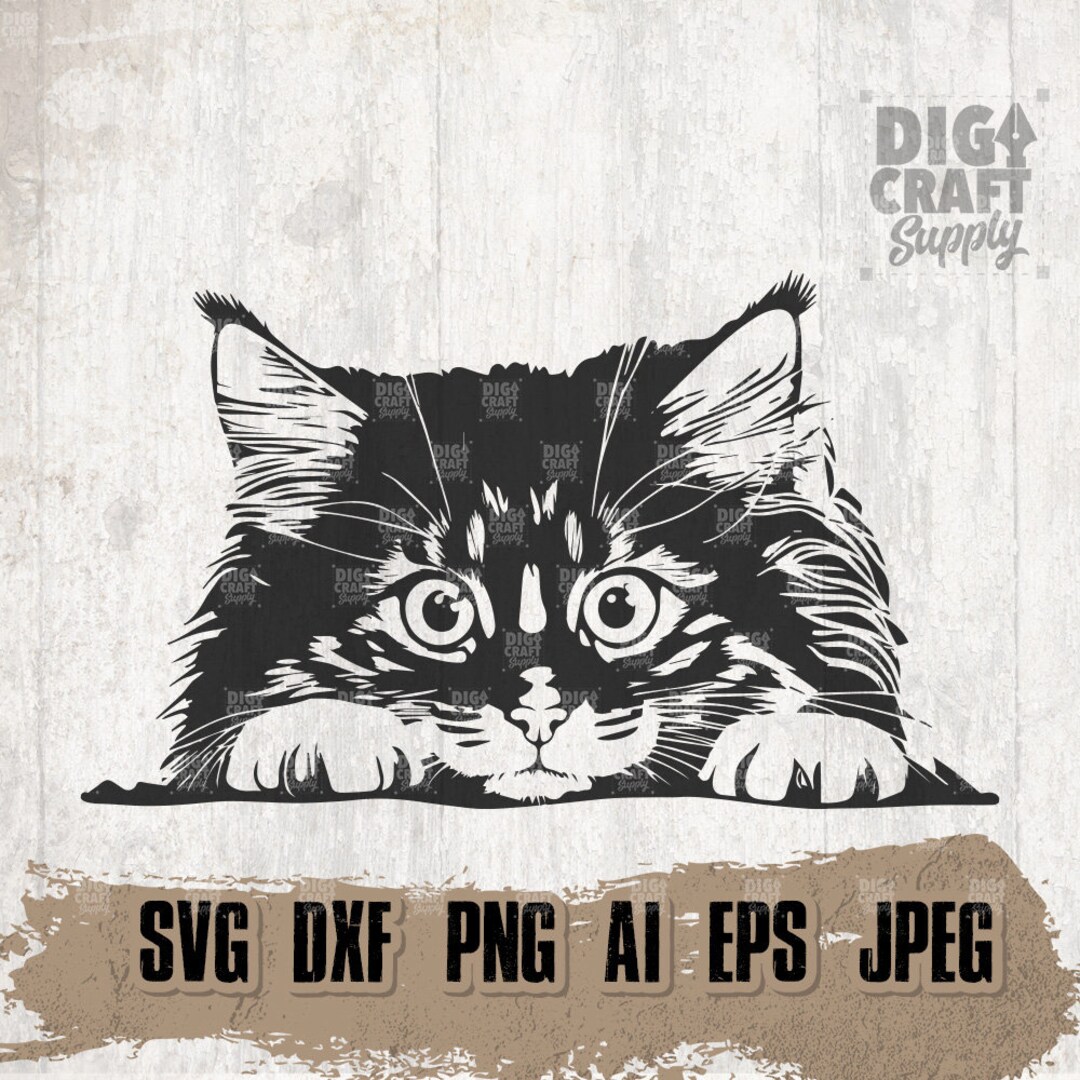 Cute Peeking Cat Svg, Cutest Kitten Clipart, Home Pet Dxf, Cat Lover ...