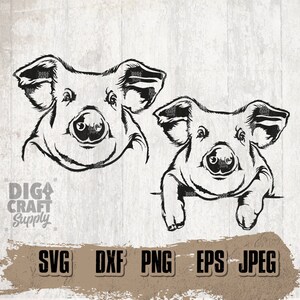 Tête de cochon svg, cochon chemise svg, cochon svg, svg animaux de ...