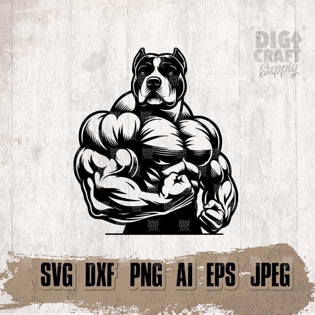Pitbull Body Builder Svg | Domestic Animal Clipart | Fitness Stencil ...