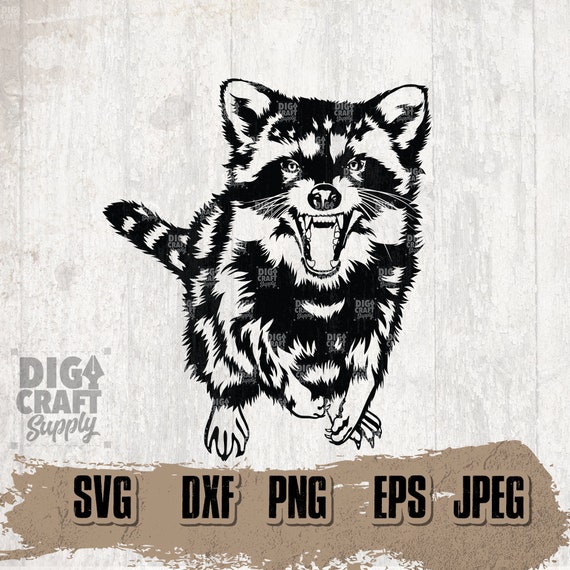 Racoon Svg Racoon Png Racoon Digital Download Racoon | Etsy