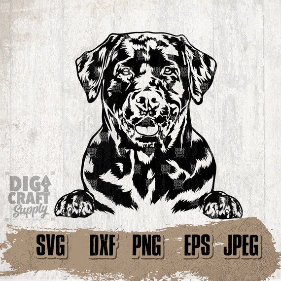 Black Labrador Svg Labrador Svg Dog Svg Dog Lover Svg Dog - Etsy