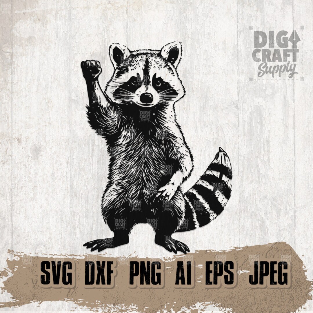 Funny Raccoon Svg, Woodland Animal Clipart, Curious Street Cat Cutfile ...