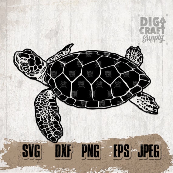 Sea Turtle Svg Sea Turtle Clipart Tropical Animal Svg Beach - Etsy