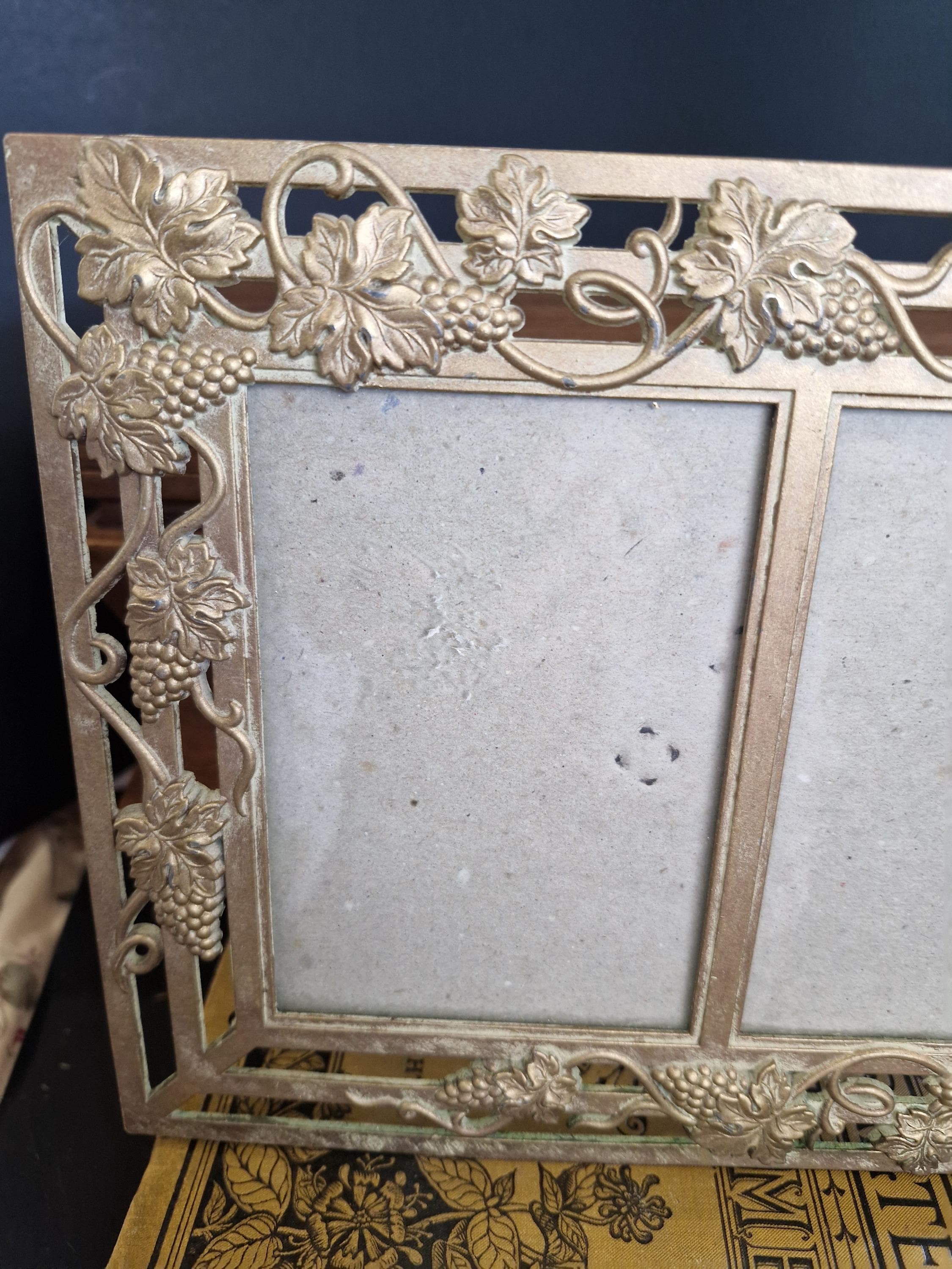 Beautiful Bronze Toned Double Photo Ornate Grapevine Frame. 3.5x5 ...