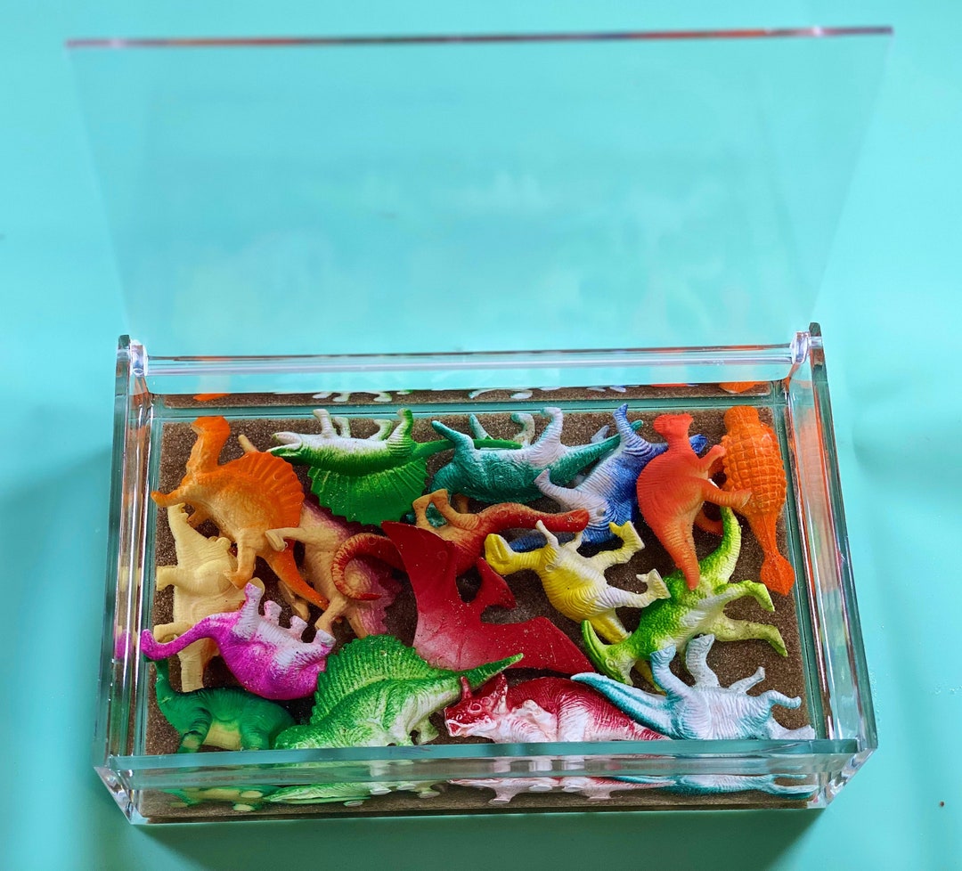 Personalized Acrylic Dinosaur Resin Hinged Trinket Box - Etsy