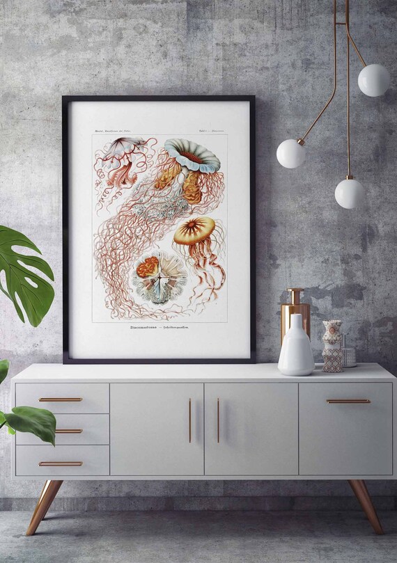 Disk Jellyfish Poster | Etsy