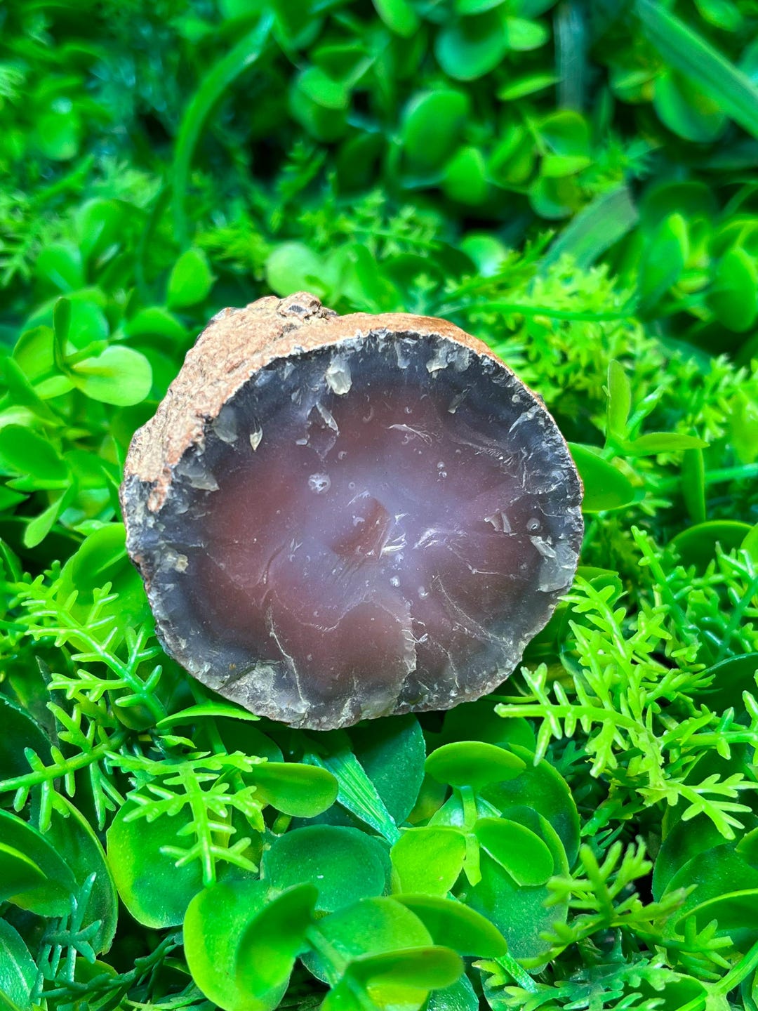 Natural Red Agate Quartz Slice, Africa Healing Crystal, Meditation Gift ...