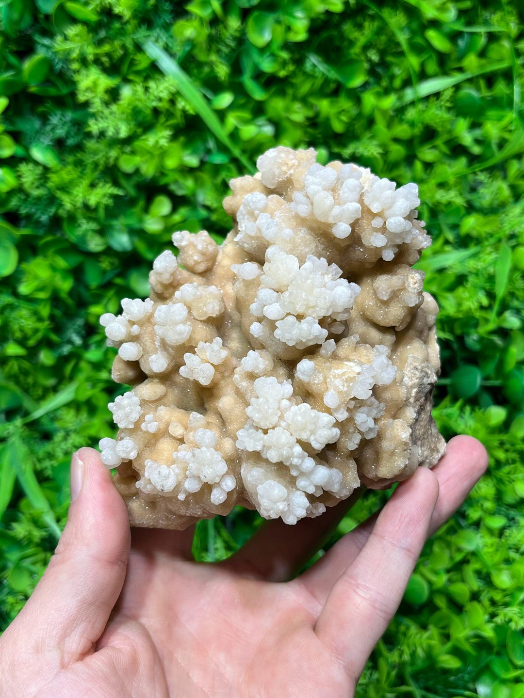 Natural Calcite Stalactite Flower - Iceland Crystal Decor, 4.13" - Etsy