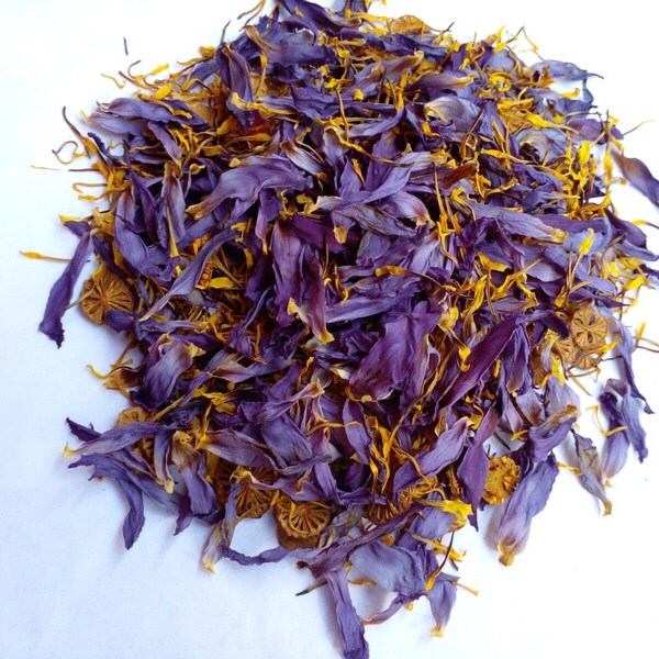 Dried Blue Lotus - Etsy