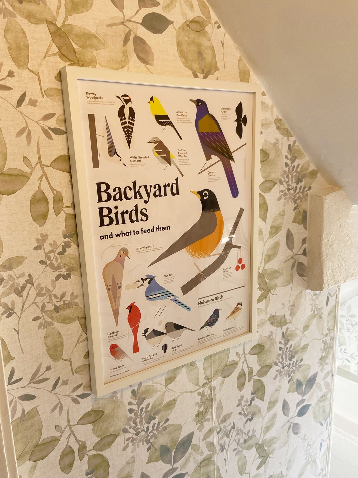 Backyard Birds Poster - Etsy