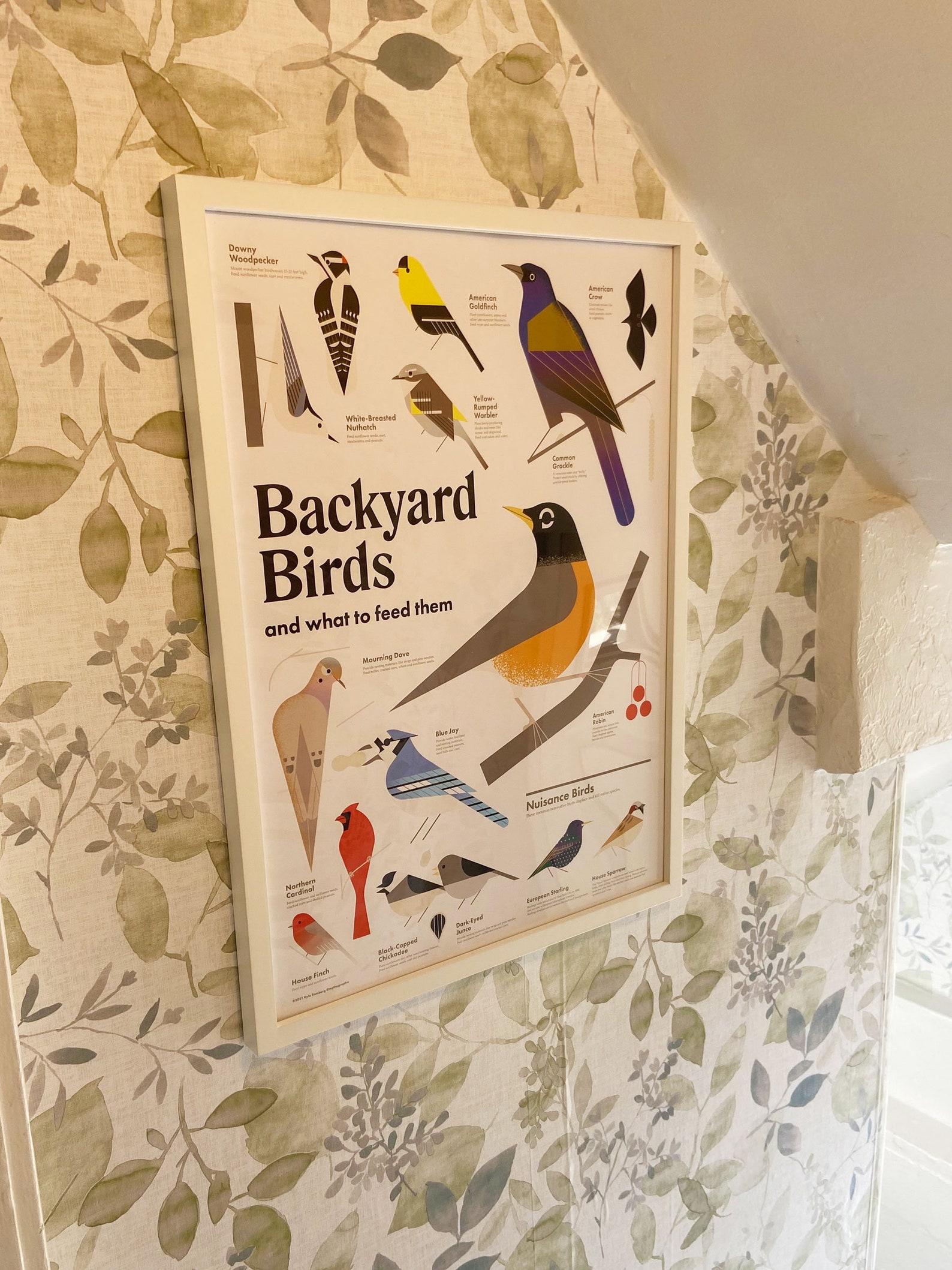 Backyard Birds Poster - Etsy