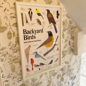 Backyard Birds Poster - Etsy