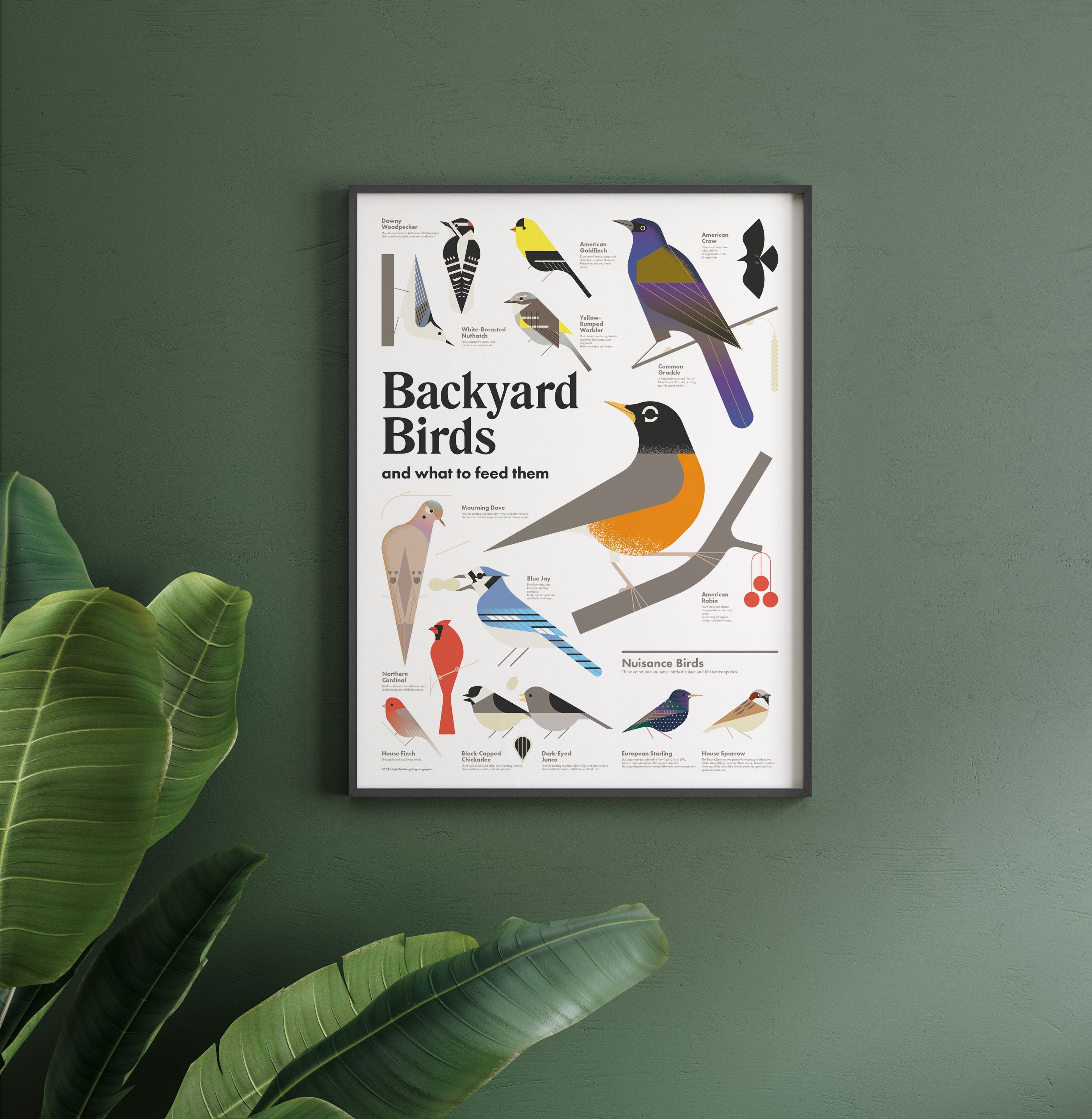 Backyard Birds Poster | Etsy