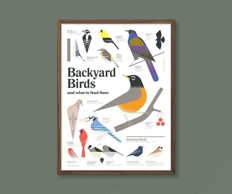 Backyard Birds Poster - Etsy