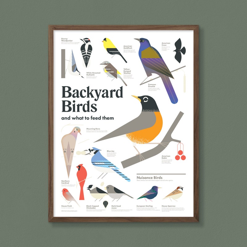 Bird Poster - Etsy
