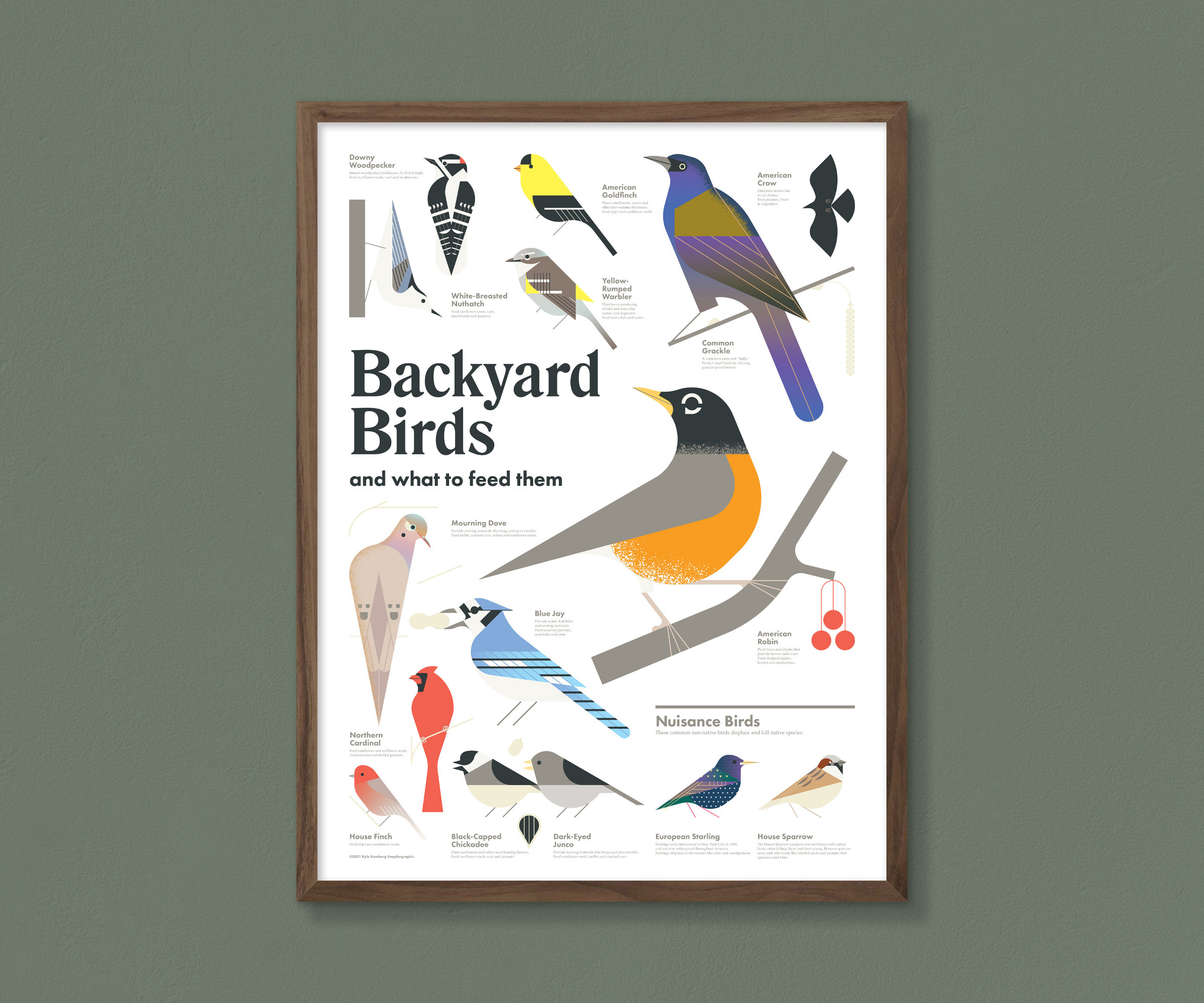 Backyard Birds Poster - Etsy