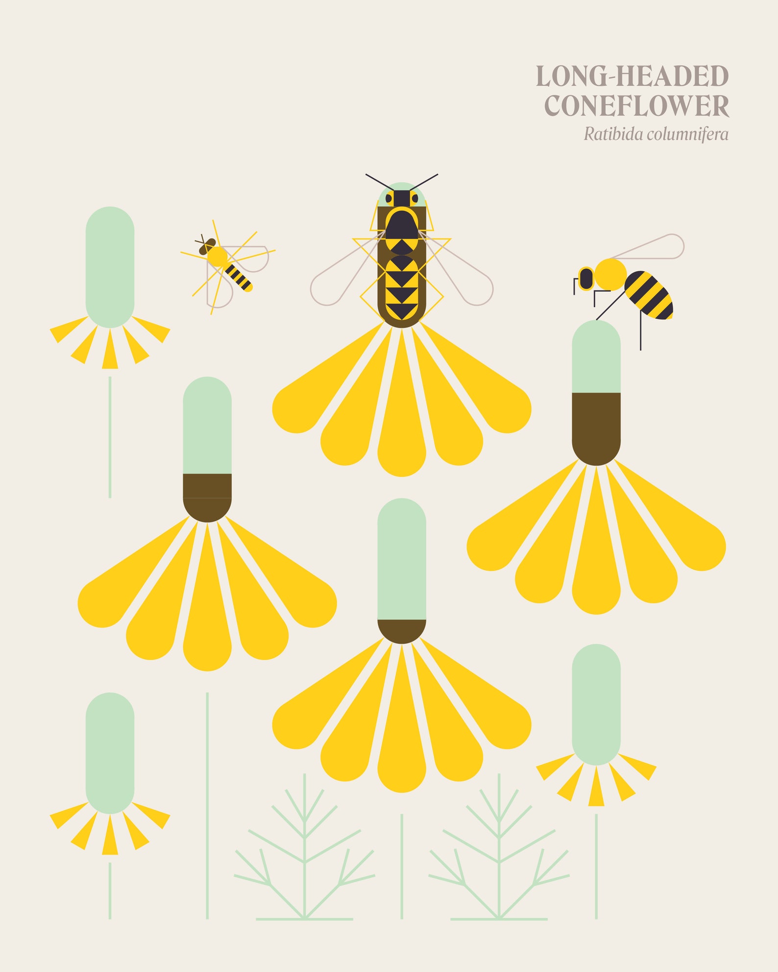 Native Pollinators - Digital Download - Etsy