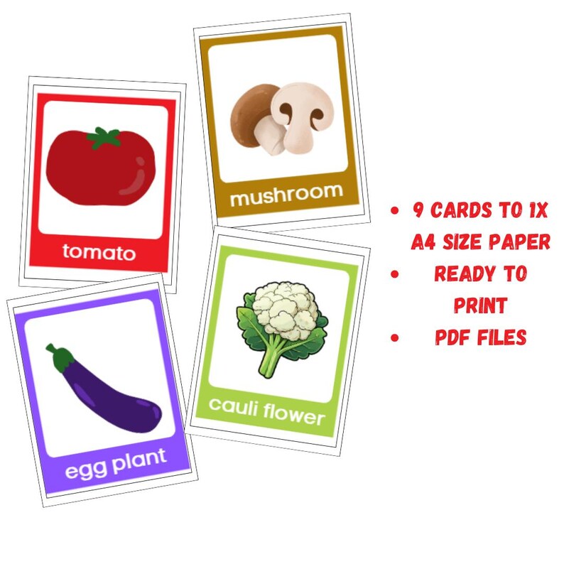 27 Vegetable Flash Cards, Montessori Materials, Educational Printable ...