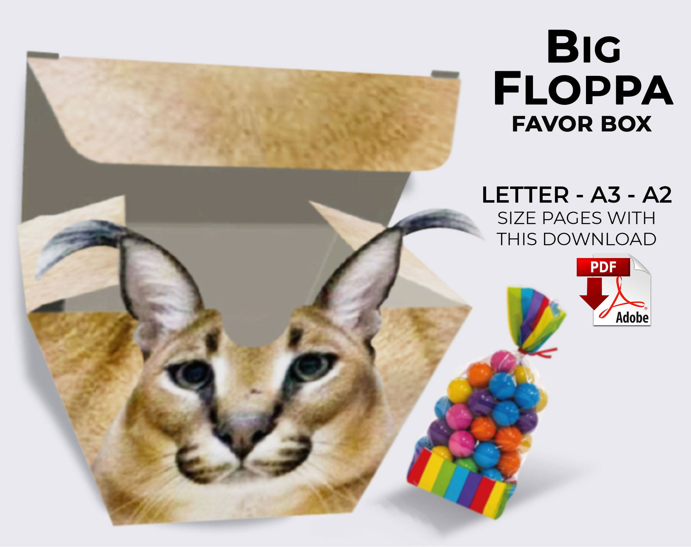 Floppa Box Template
