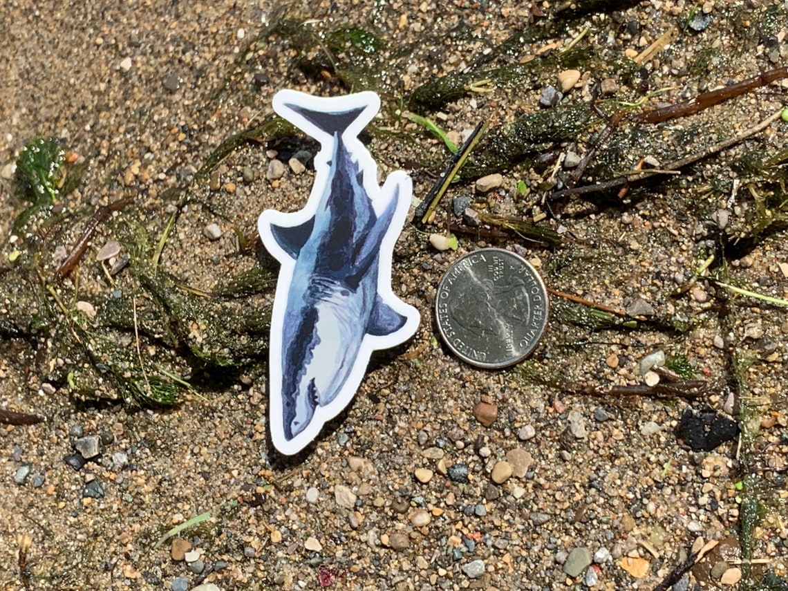 Great White Shark Sticker Shark Sticker Shark Art Shark | Etsy