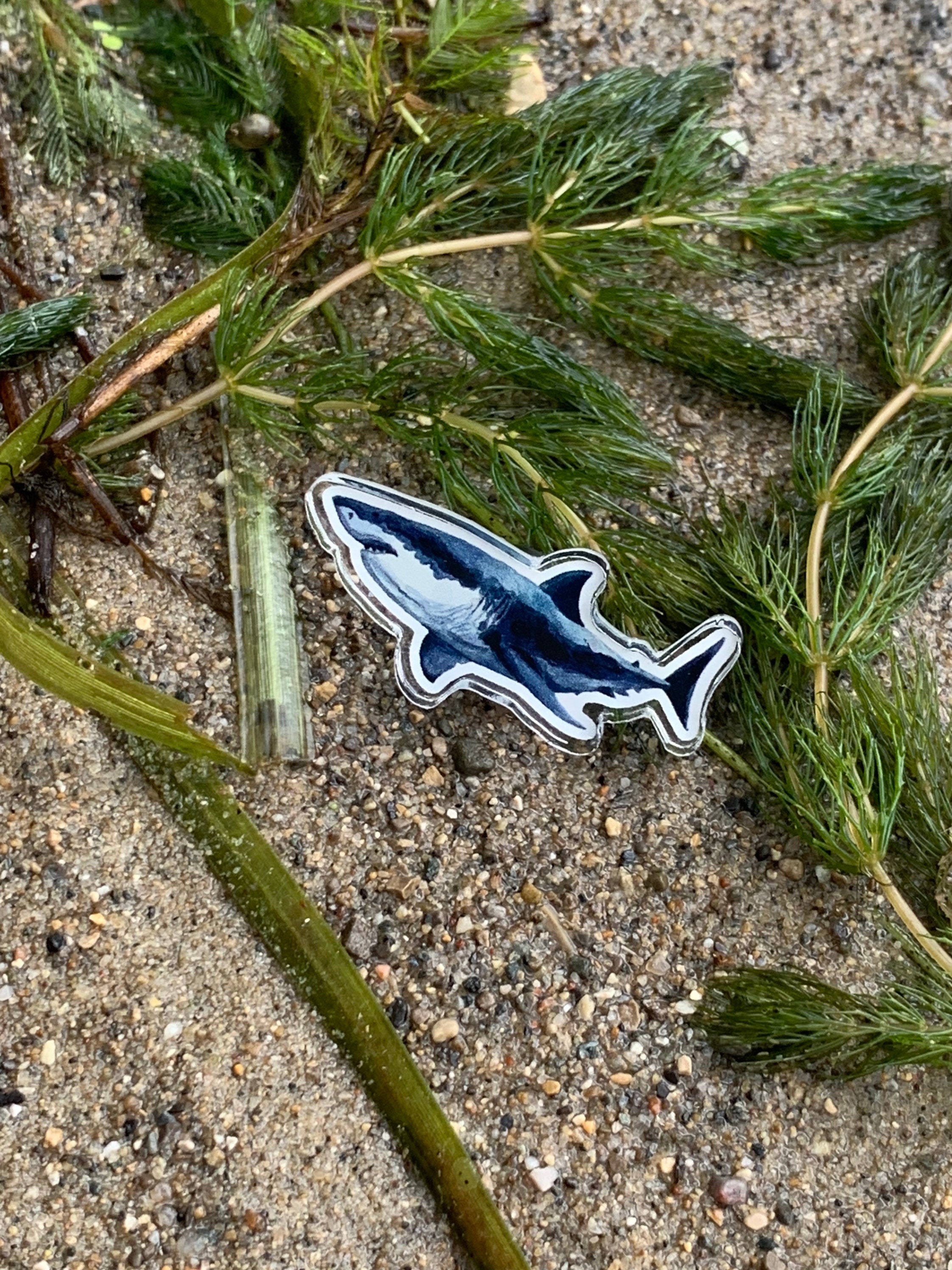 Shark Pin Great White Shark Pin Shark Acrylic Pin Great - Etsy