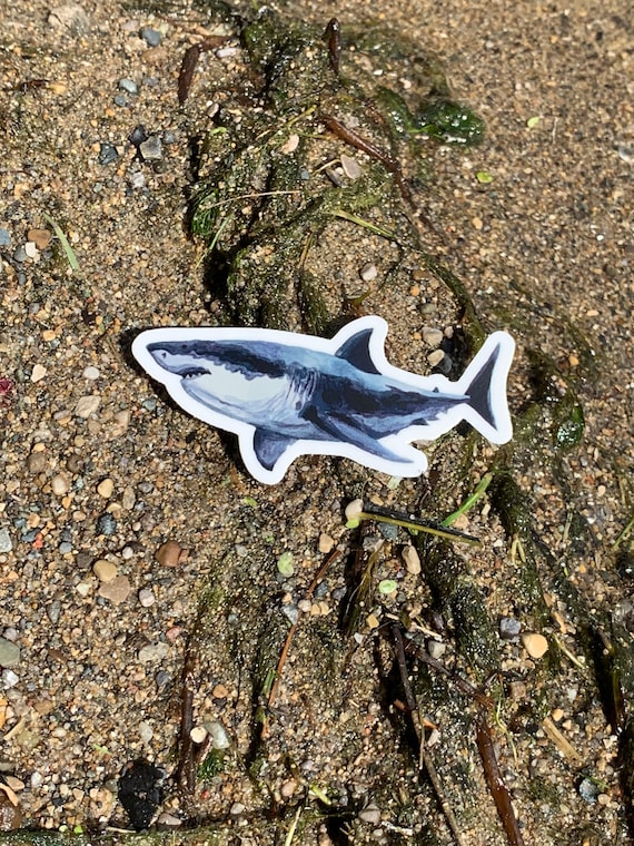 Great White Shark Sticker Shark Sticker Shark Art Shark | Etsy