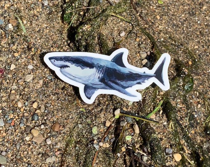 Great White Shark Sticker - Shark Sticker - Shark Art, Shark Lover Gift ...